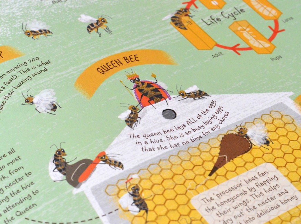 ebabee likes:Bug detective book: minibeast facts, myths & more - ebabee ...